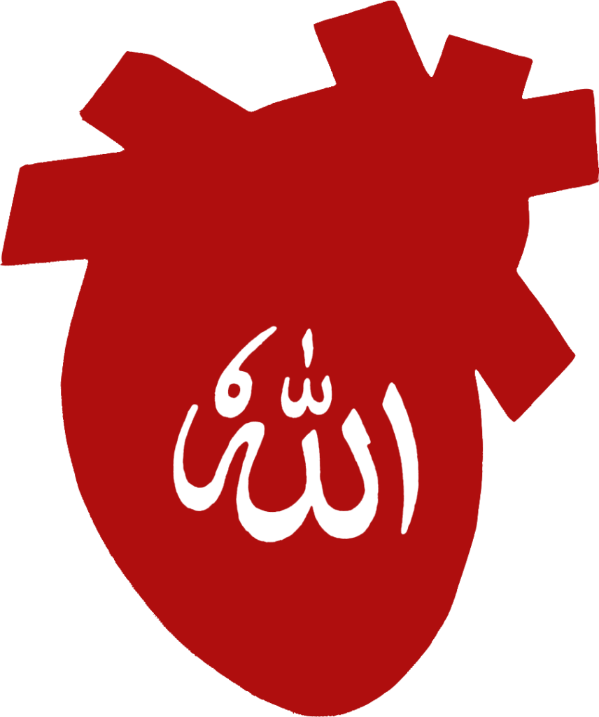 Hazrat Syedna Riaz Ahmed Gohar Shahi Shahi was born in 1941